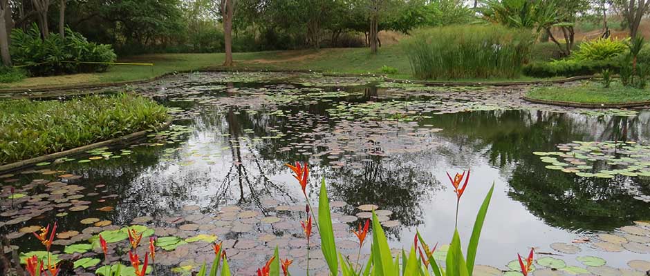 5 lugares turísticos del Zulia para ir con niños. – Pensando en Ti Viajero