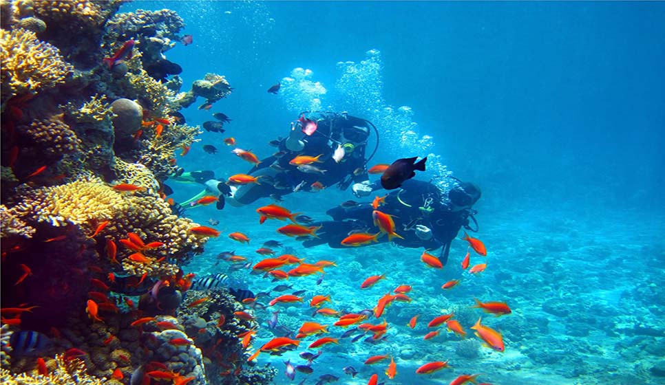«Sumérgete en la Magia de Morrocoy: Destino Perfecto para el Relax y la ...